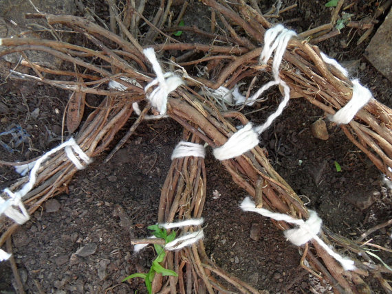 Artemisia’s Elixir: Root Yourself in Mugwort – Menstrala School